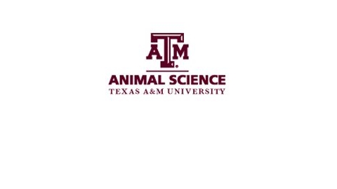 Researcher - IFCN Dairy Research Network